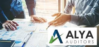 Simple Small Organization Audit Procedures - Alya Auditors